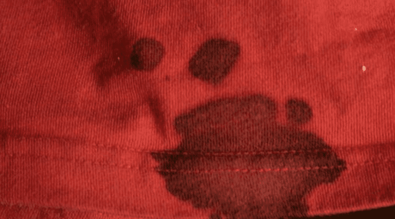 Learn All There Is To Know About Stain Removal On Clothes & Fabrics ...